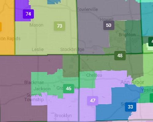 MI House of Representatives – Waterloo MI Elections